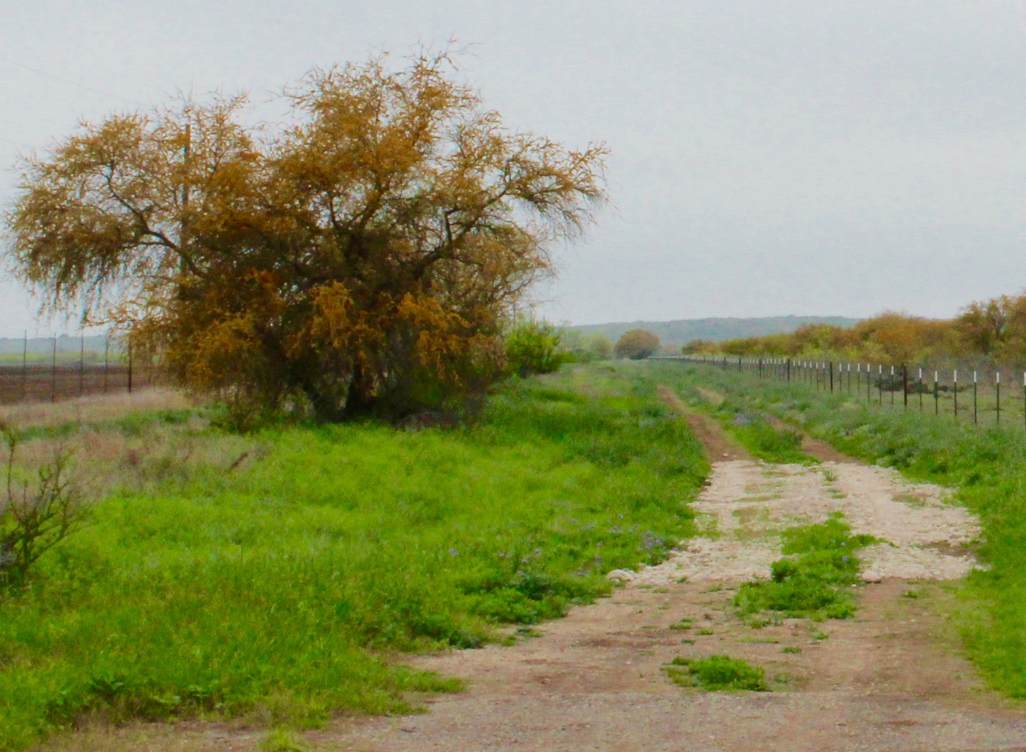 The Burning Bush: What If? – A Sermon On Exodus 3:1-15 – Interrupting ...